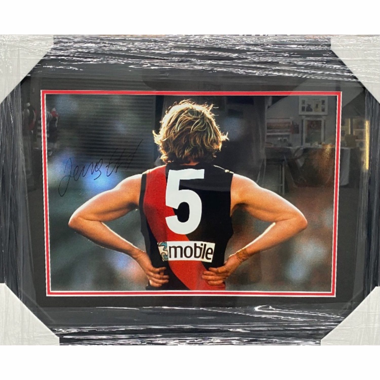 James Hird Signed Print - Authentic Autographs & Events Australia